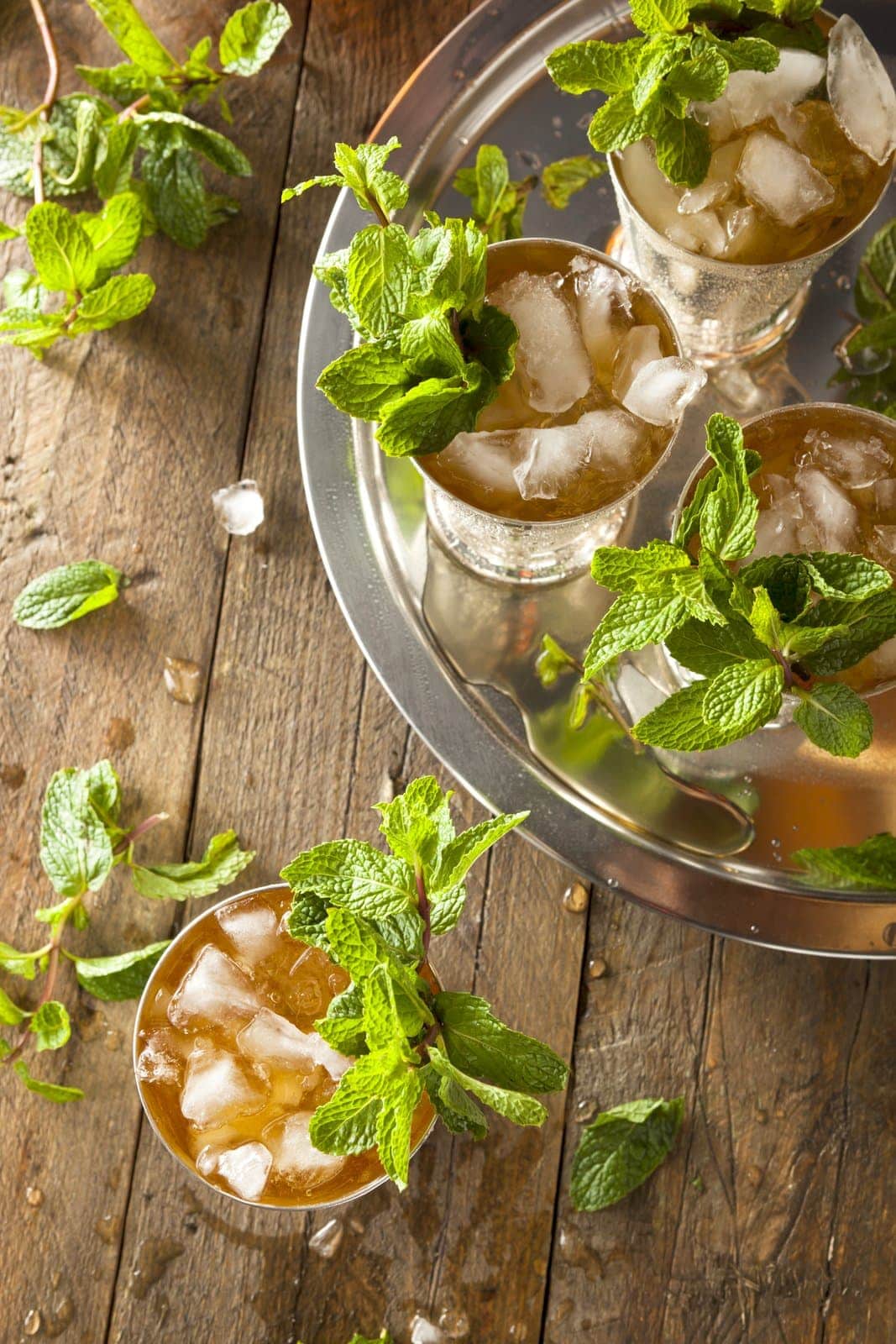 Mint julep magic: 100 years of recipes, tricks & serious Southern pride ...