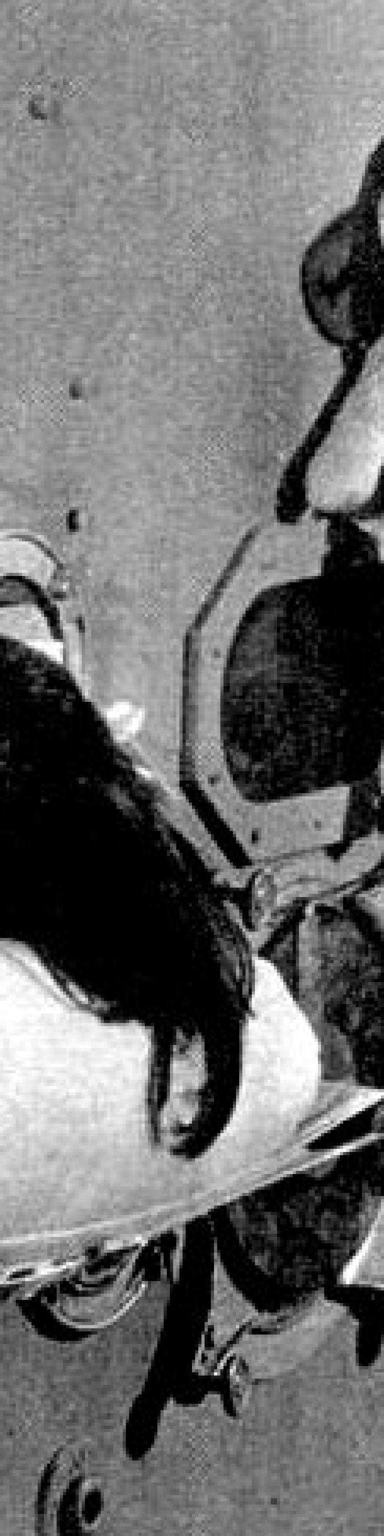 How cats helped create the first iron lung machines for polio victims ...