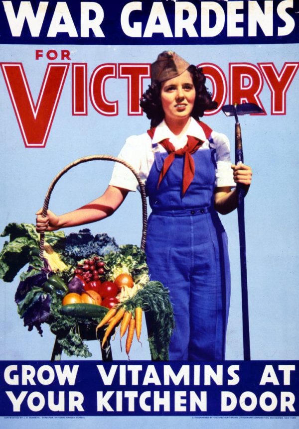 WWII Victory gardens from the 1940s: How people planted them, and how ...