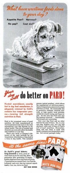 Vintage dog food: 40 old ads let you see what's changed (and hasn't ...