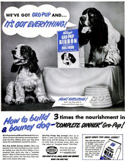 Vintage dog food: 40 old ads let you see what's changed (and hasn't ...