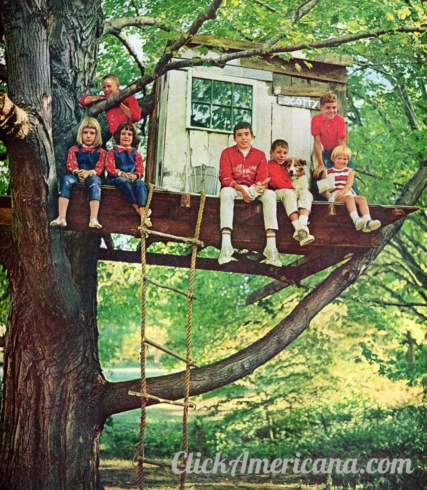 Old-fashioned treehouses: See 20 fun forts built up in the branches ...