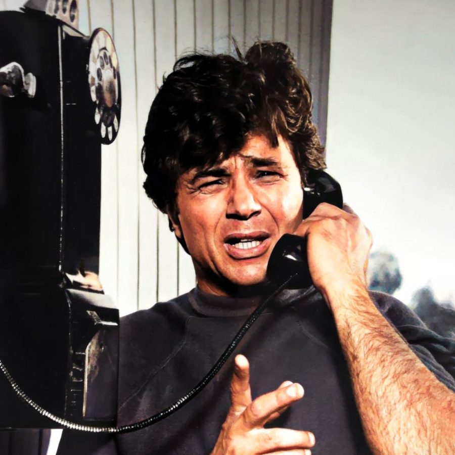 In the Baretta TV show, Robert Blake played an unconventional cop with ...