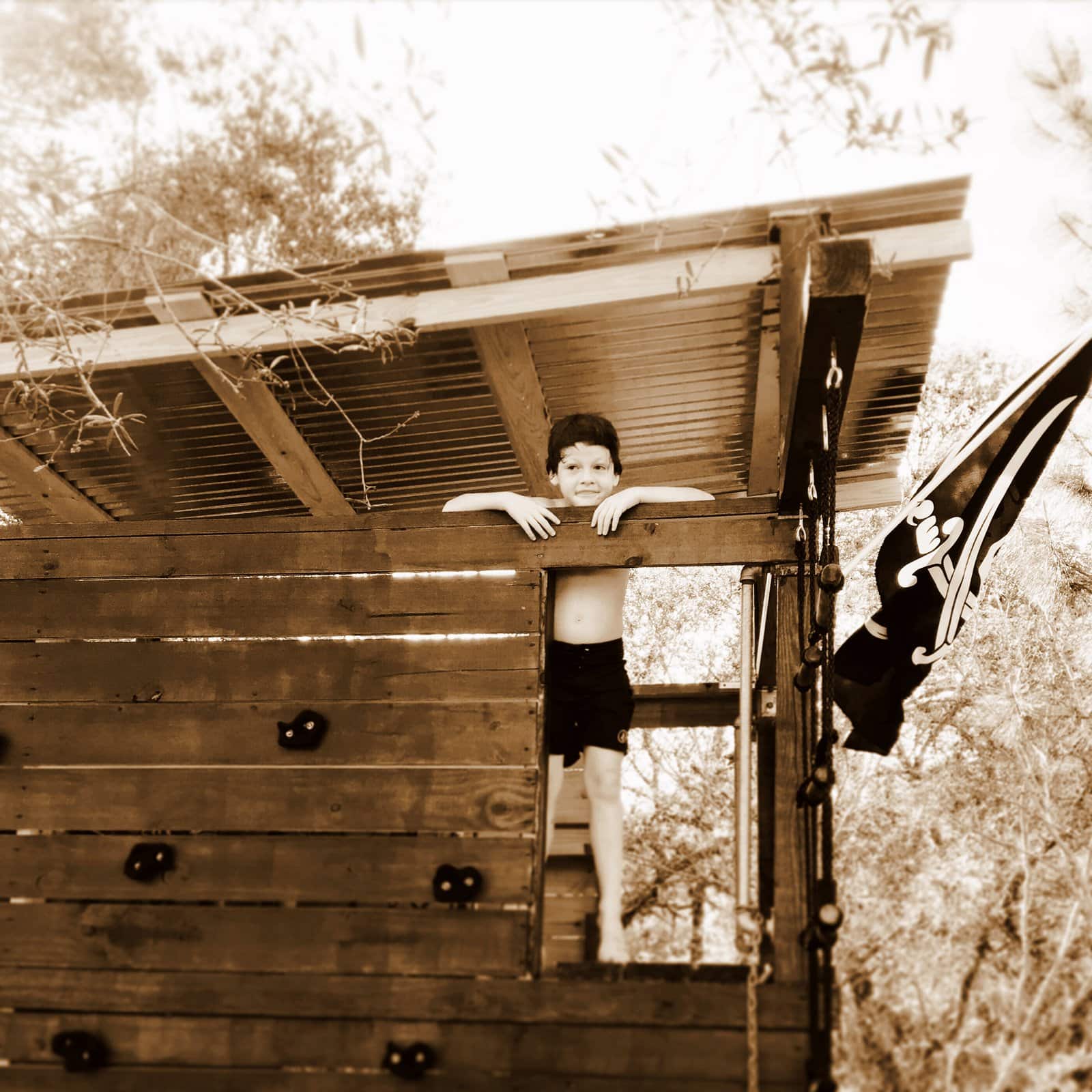 Old-fashioned treehouses: See 20 fun forts built up in the branches ...