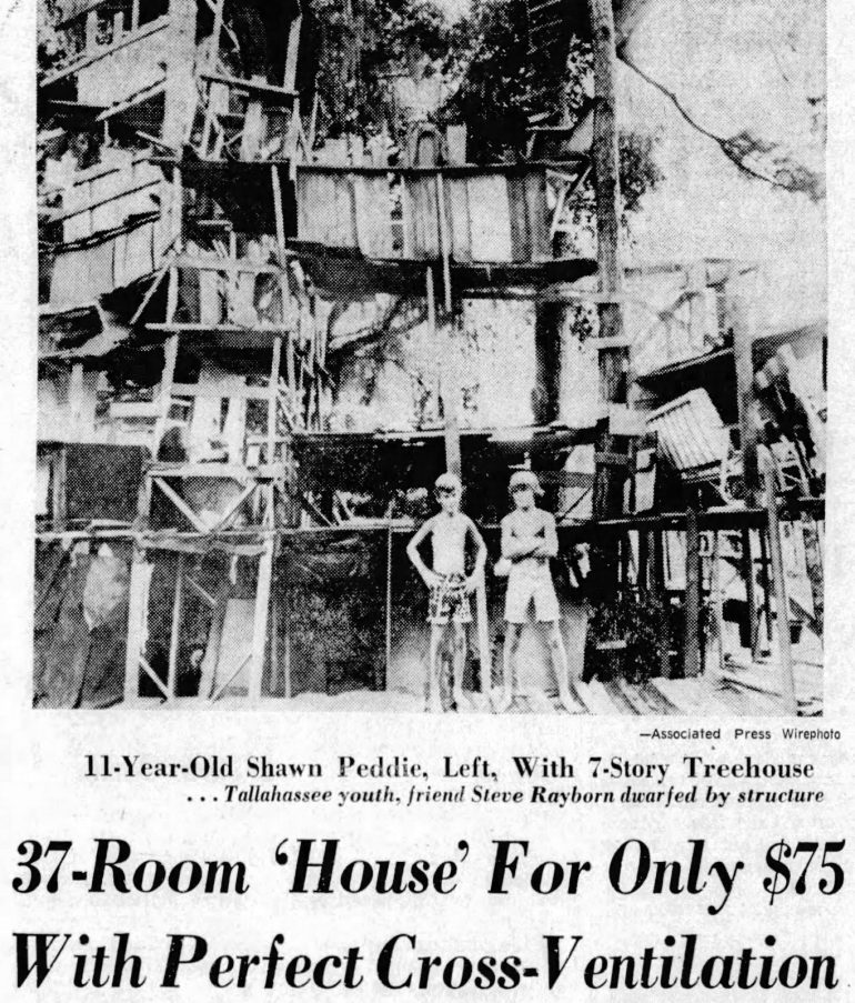 Old-fashioned treehouses: See 20 fun forts built up in the branches ...