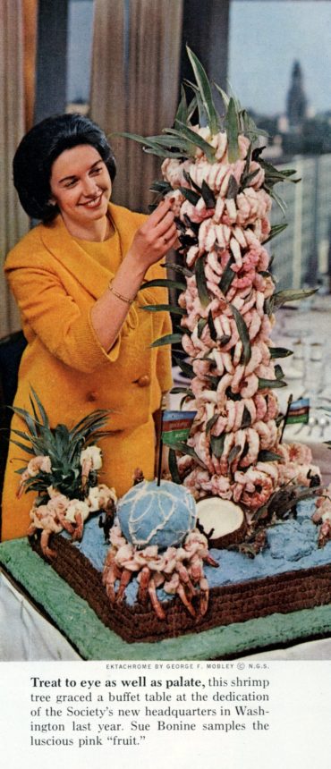 How to make a festive shrimp Christmas tree appetizer for your holiday ...