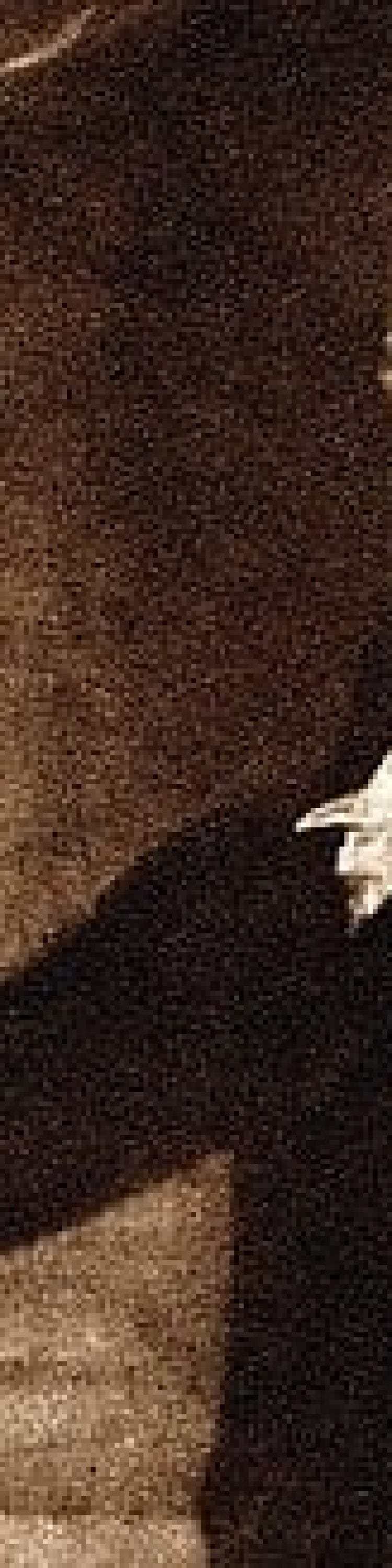 America shocked when Alexander Hamilton dies after a duel (1804 ...