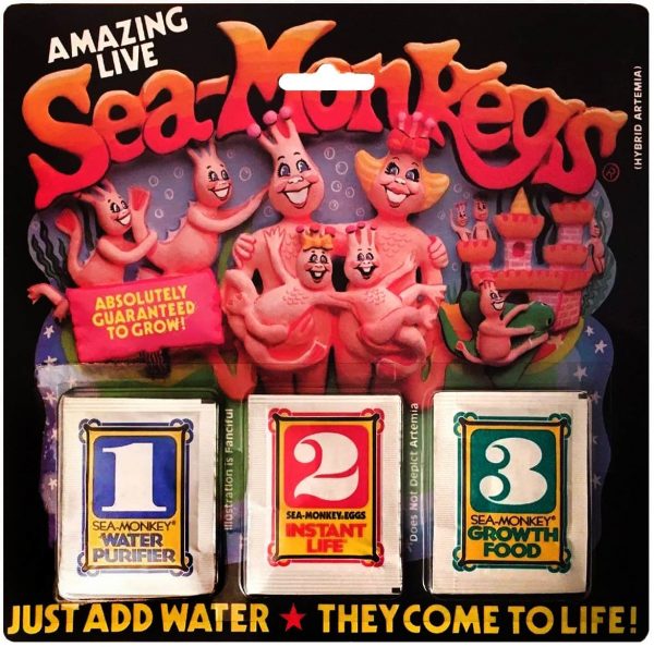 Amazing live Sea-Monkeys: "Instant pets" that didn't look anything like ...