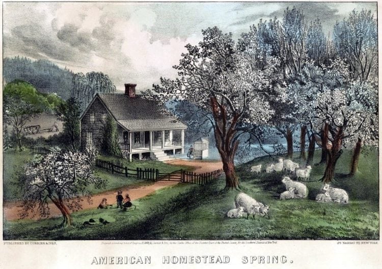 The 1862 Homestead Act: How it transformed America & changed our ...