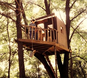 Old-fashioned treehouses: See 20 fun forts built up in the branches ...