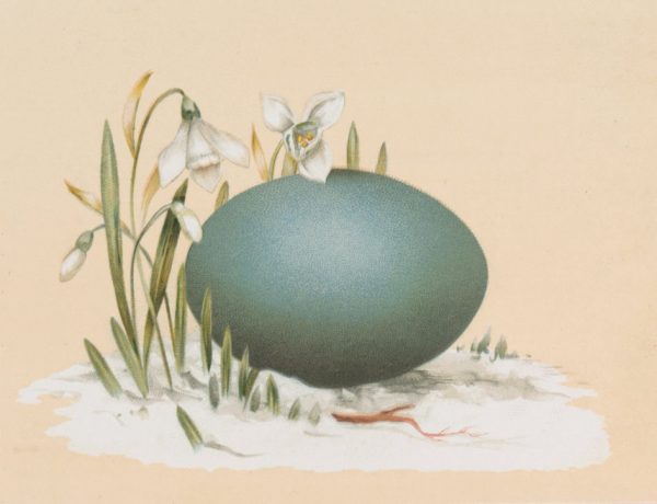 Easter blessings & prayers: 14 powerful verses from 1911 that still ...