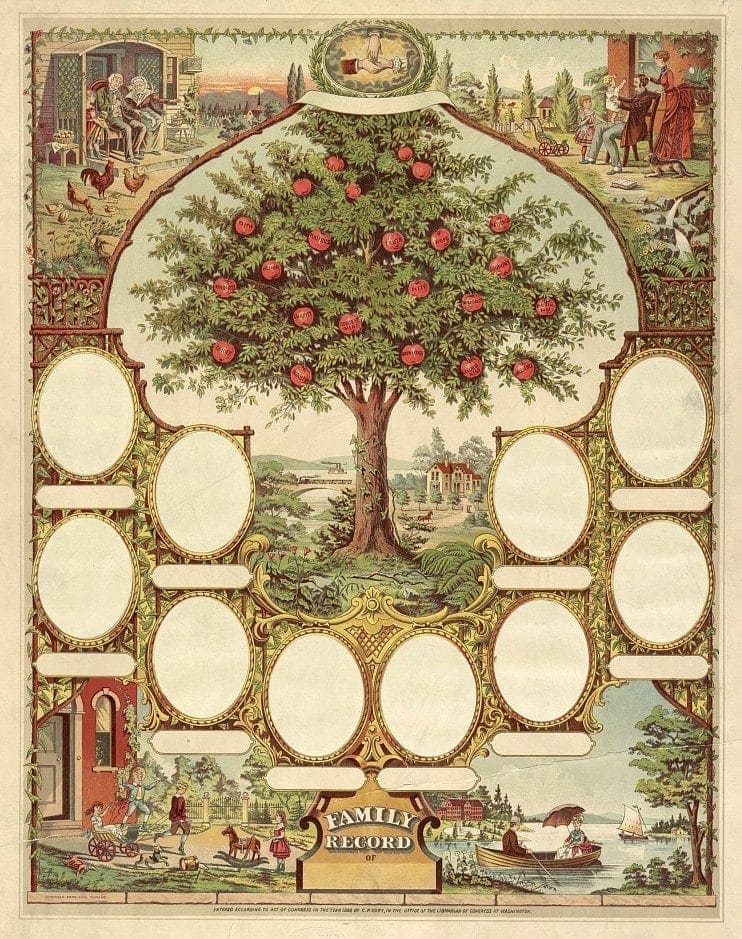 An Old Family Tree With Many Different Names - vrogue.co