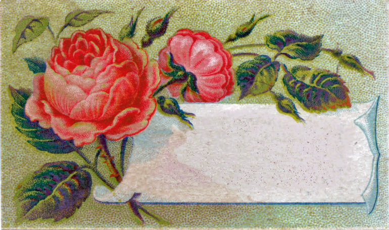 How & why everyone used calling cards in the early 1900s - Click Americana