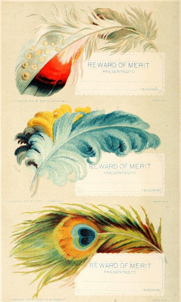 See what antique school supplies & educational materials were like in ...