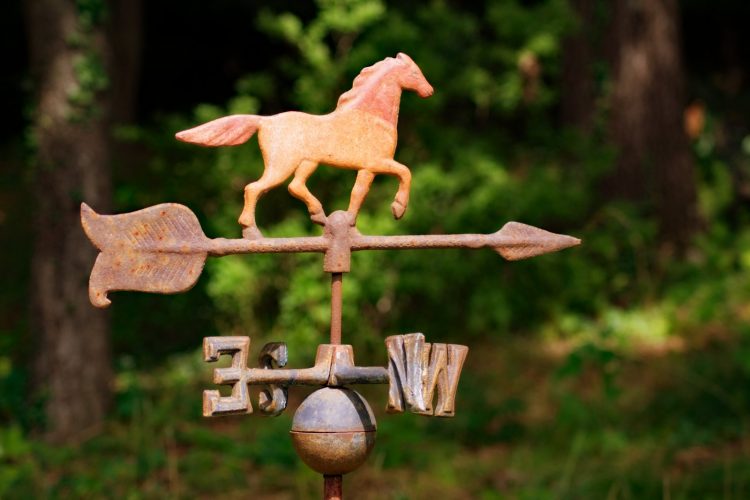 Vintage weathervanes: 60+ examples of early American decorative ...