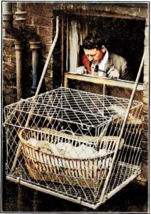 See how moms used weird baby window cages & other 'interesting' child ...