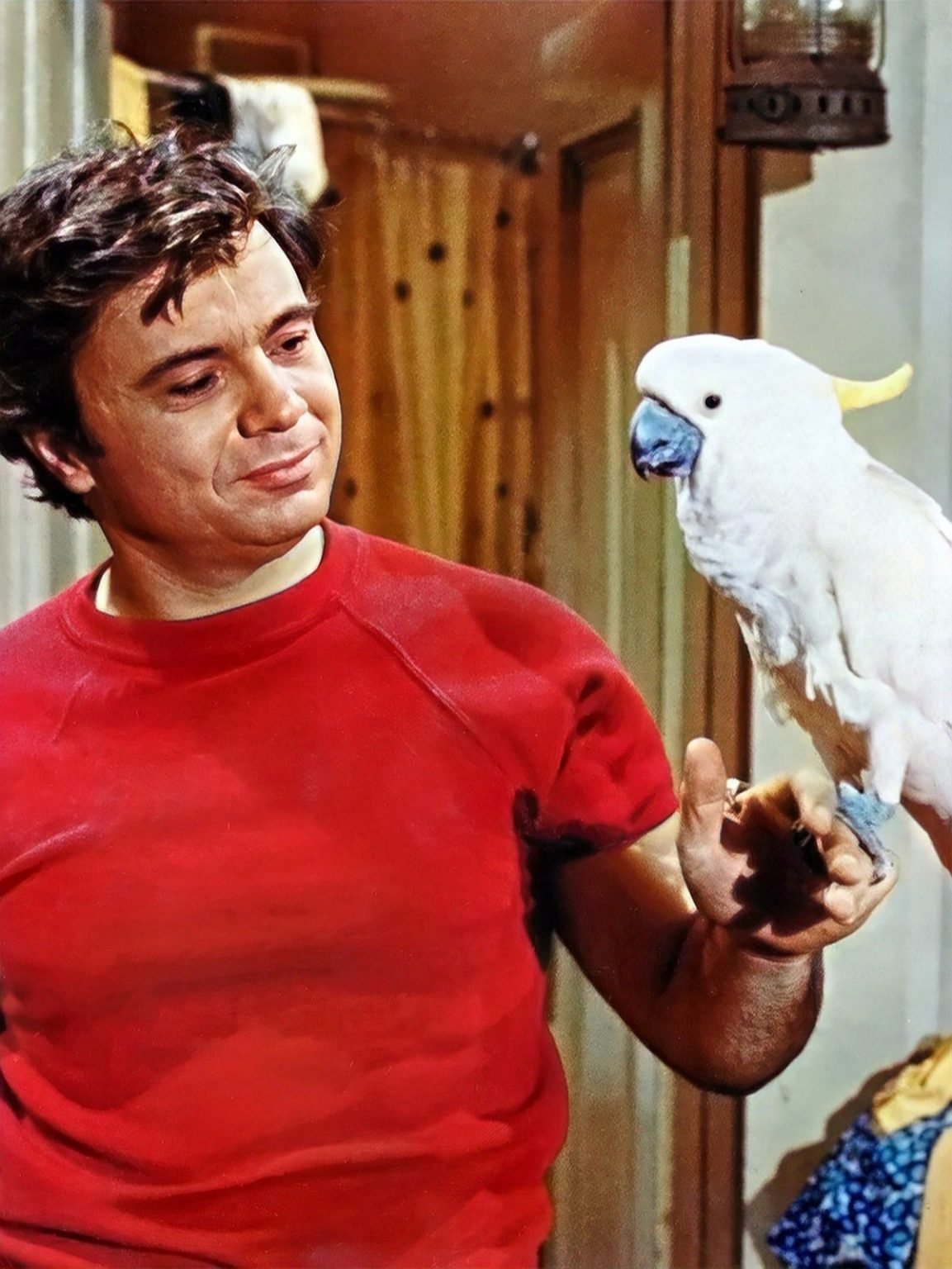 In the Baretta TV show, Robert Blake played an unconventional cop with ...