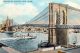 Brooklyn Bridge history and the day New York celebrated its grand debut ...