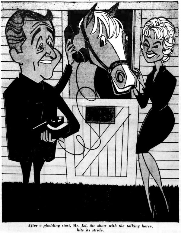 About Mister Ed, the vintage TV show with the talking horse - plus the ...