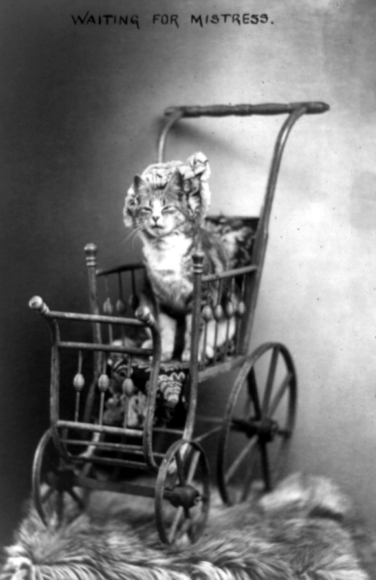See how different antique baby carriages & old-fashioned strollers used ...