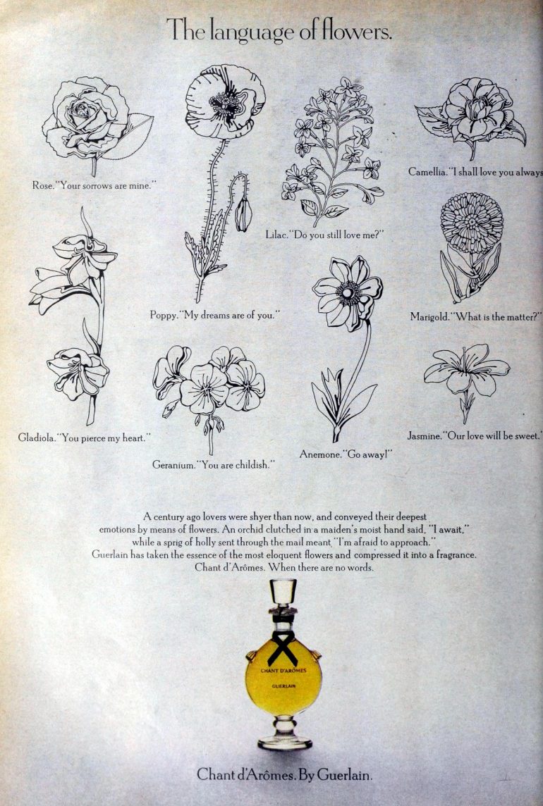 100 vintage 70s perfumes that will take you straight back in time ...