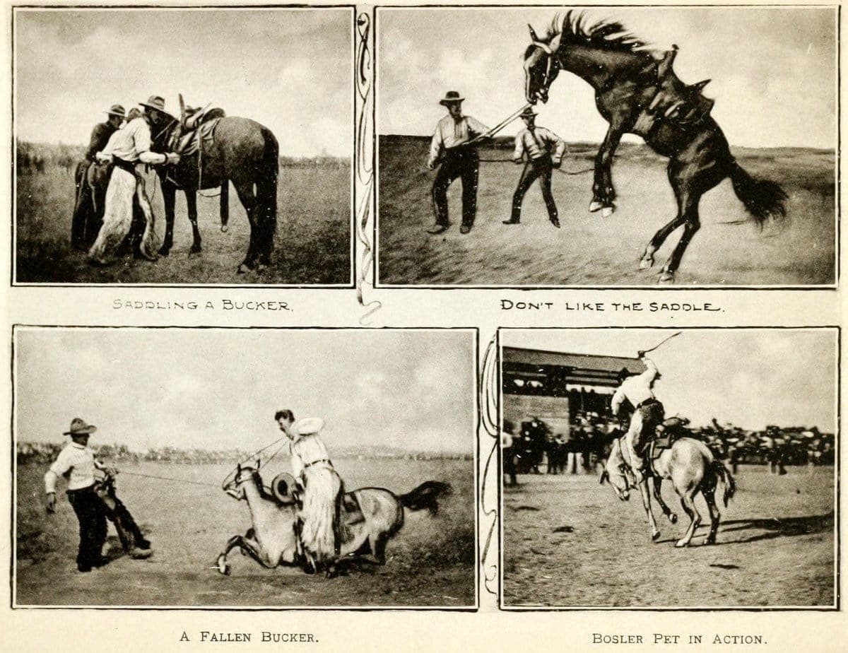 See the fun from Cheyenne's Frontier Days: Wyoming's old Wild West ...