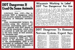 DDT: The dangerous old insecticide that used to be everywhere - even ...