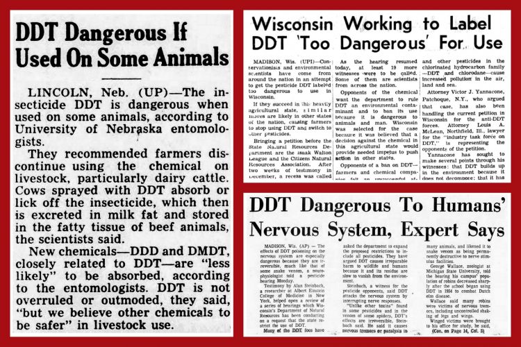 DDT: The dangerous old insecticide that used to be everywhere - even ...