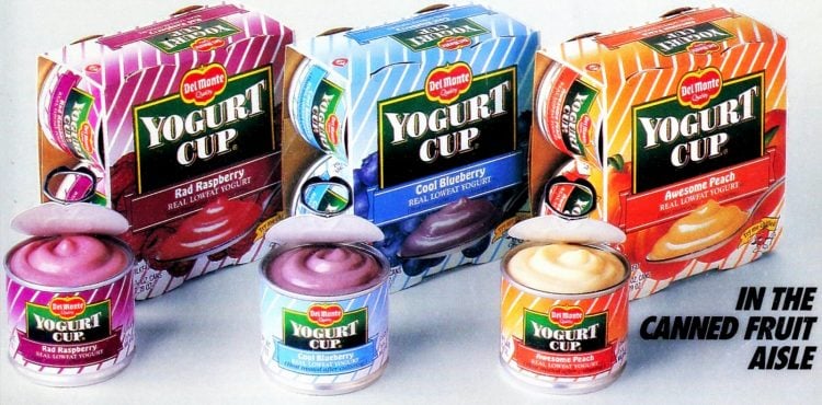 These popular vintage & discontinued yogurt brands started as a fad ...