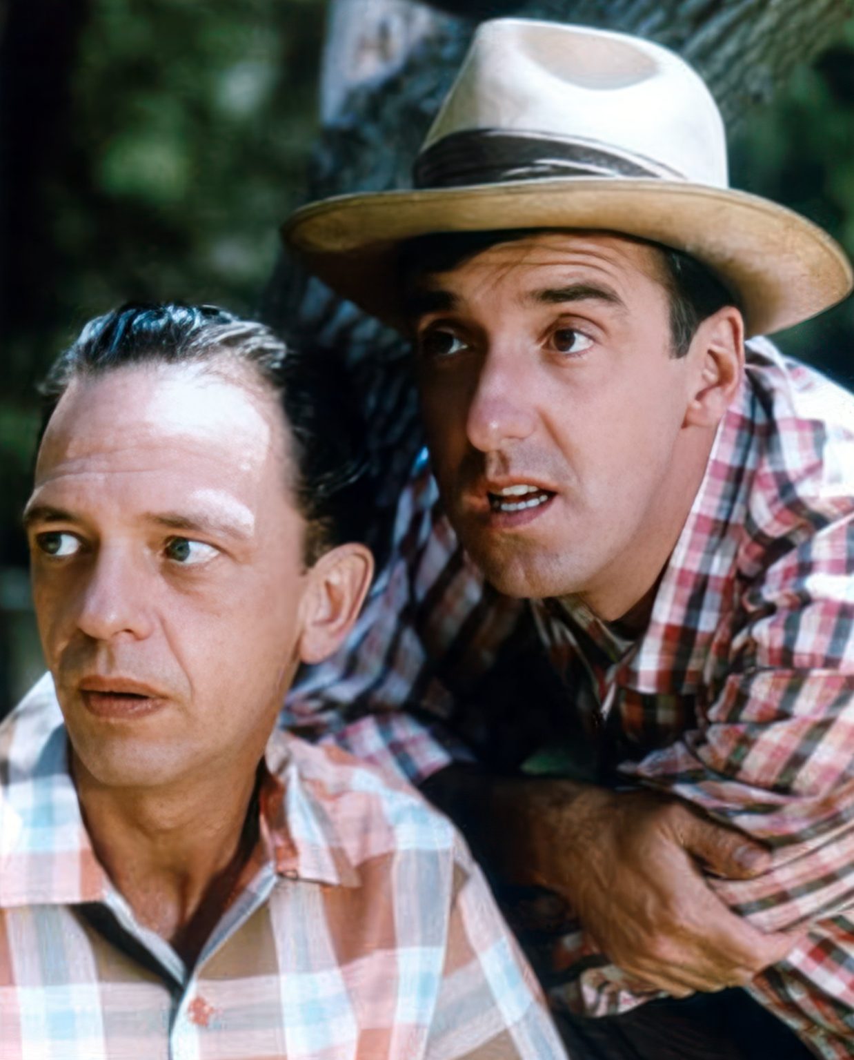 Revisit the Andy Griffith Show & hear that catchy whistled theme song ...