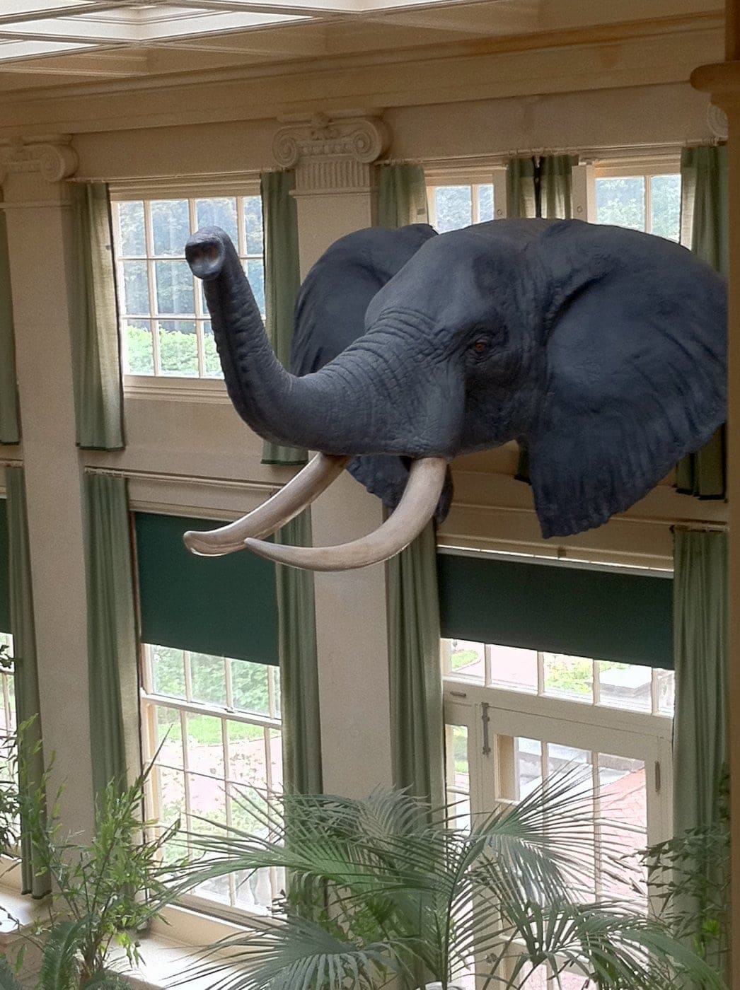 George Eastman House: The Kodak inventor's mansion & photography museum ...