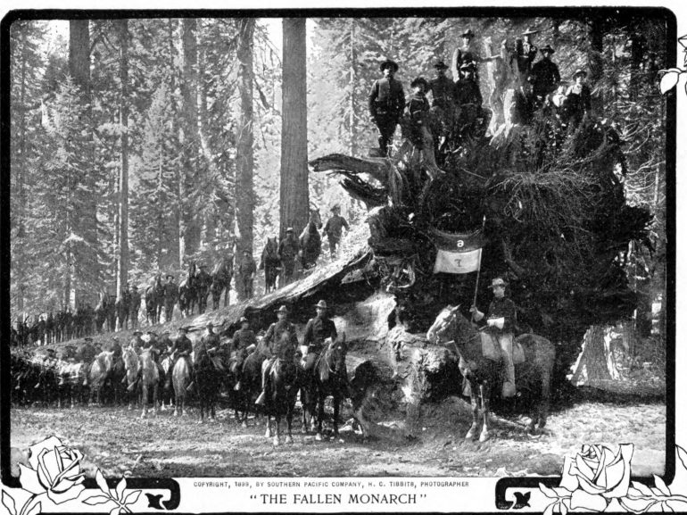 The natural wonders of the US seen in this vintage landscape ...