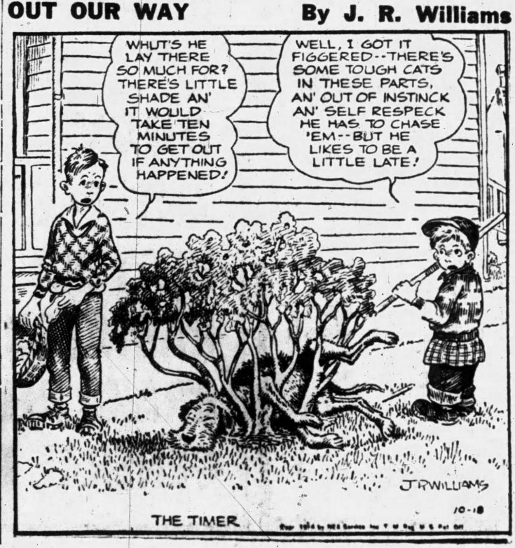 Favorite fifties funnies: 50 popular comic strips from the 1950s ...