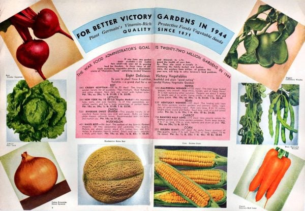 WWII Victory gardens from the 1940s: How people planted them, and how ...