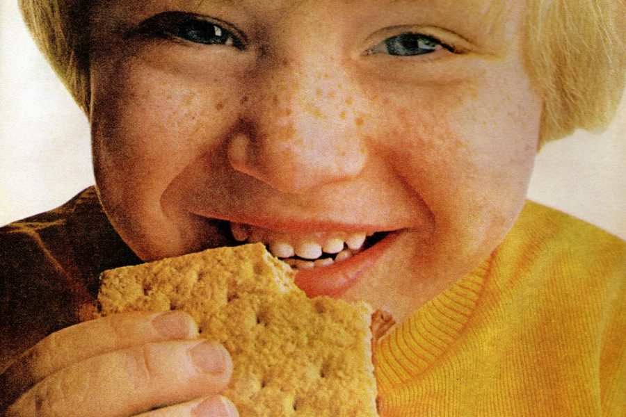 Frozen pudding & graham cracker sandwich (with chocolate & peanut ...