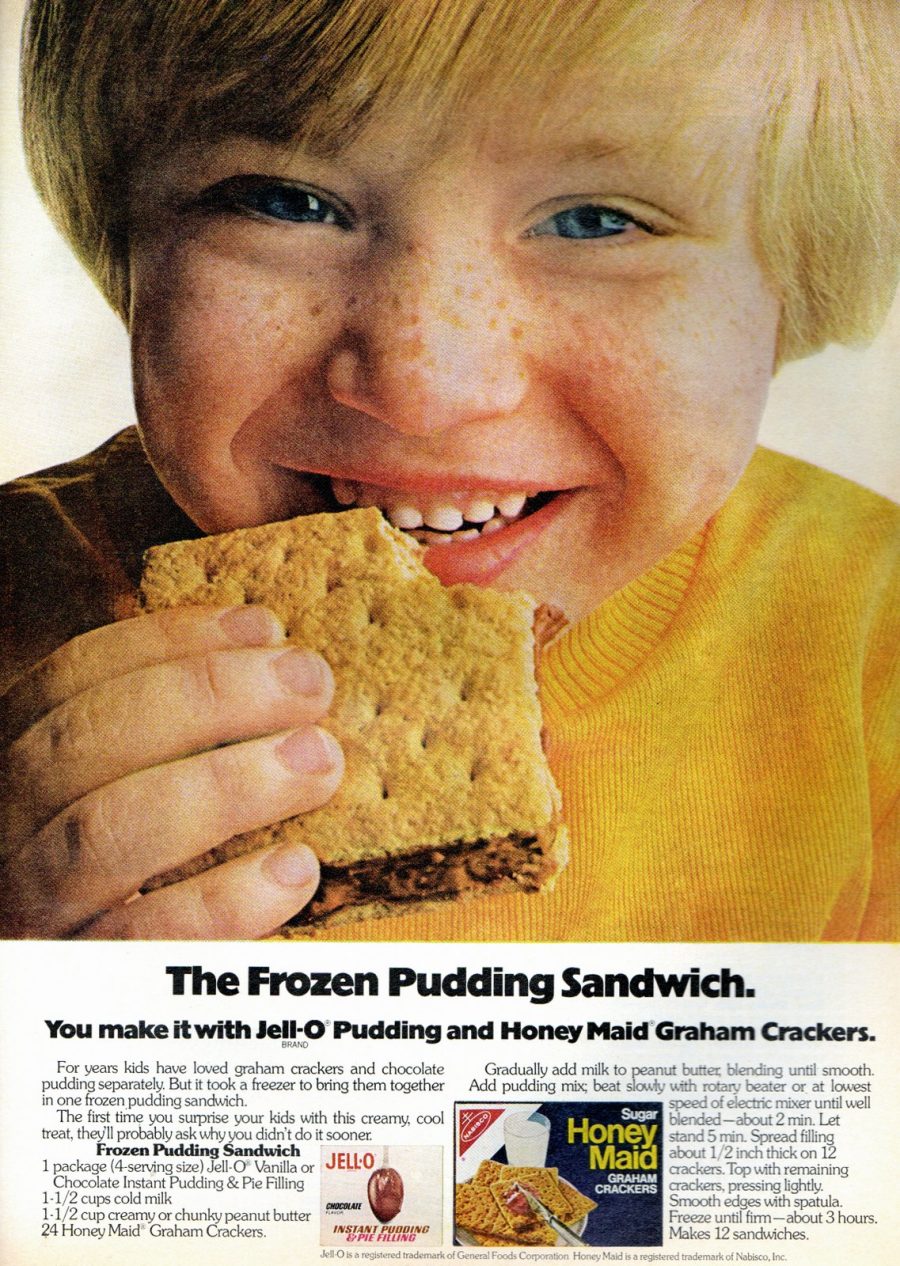 Frozen pudding & graham cracker sandwich (with chocolate & peanut ...