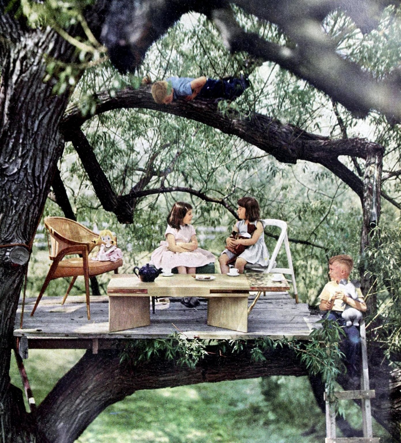 Old-fashioned treehouses: See 20 fun forts built up in the branches ...