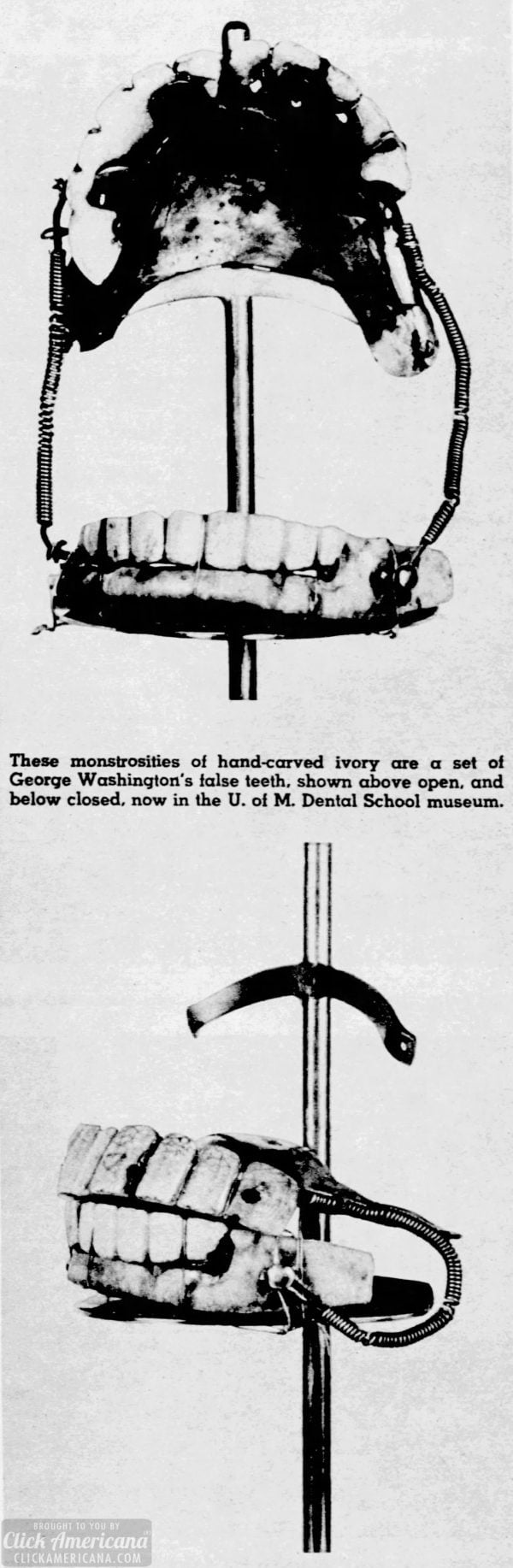 Fact & fiction about George Washington's teeth - and why they were so ...