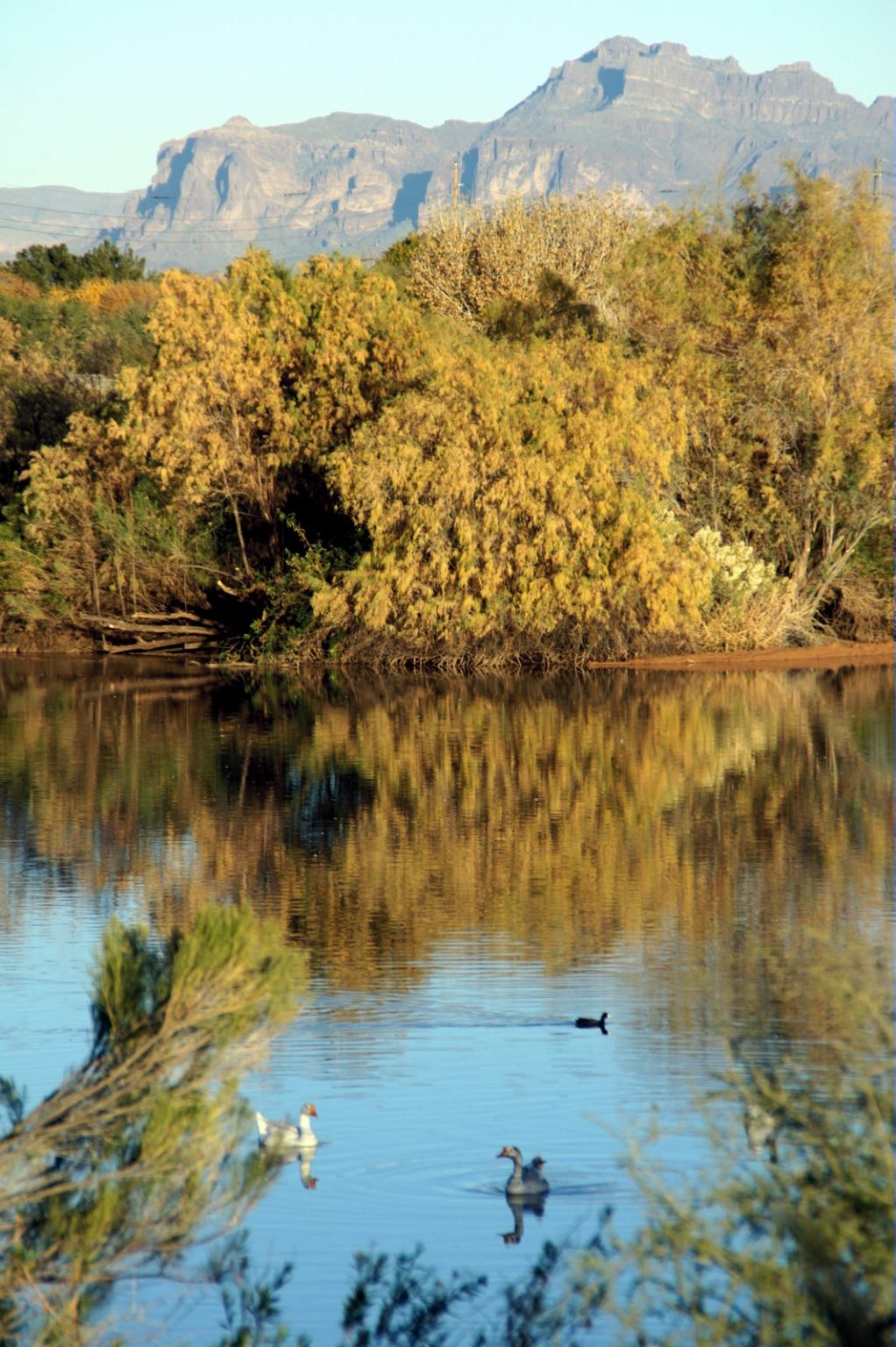 Old Gilbert, Arizona: How one of the fastest-growing cities in the US ...