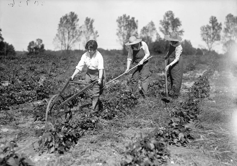 Girl Scout history: Old badges, uniforms, activities & more from 100 ...
