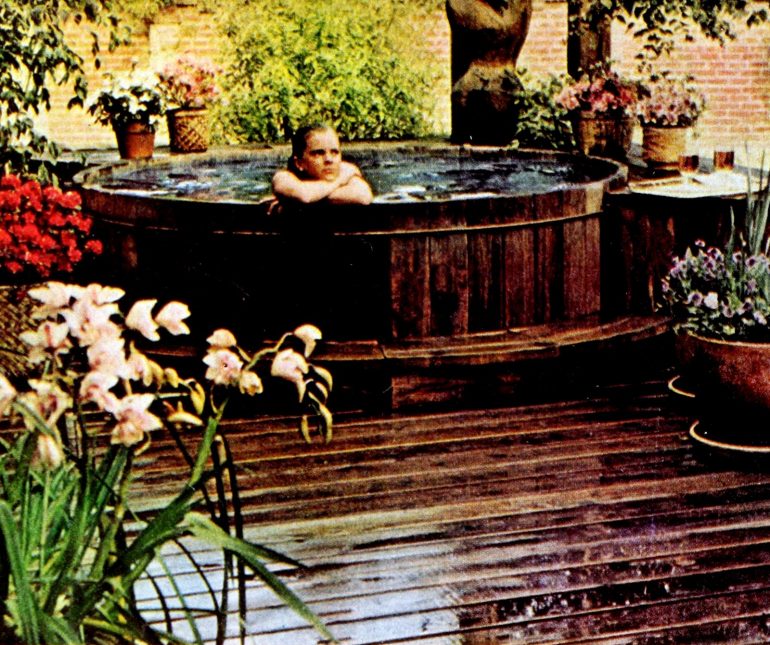 Jacuzzis & hot tubs: Backyard hot tub & spa styles from the 70s & 80s ...