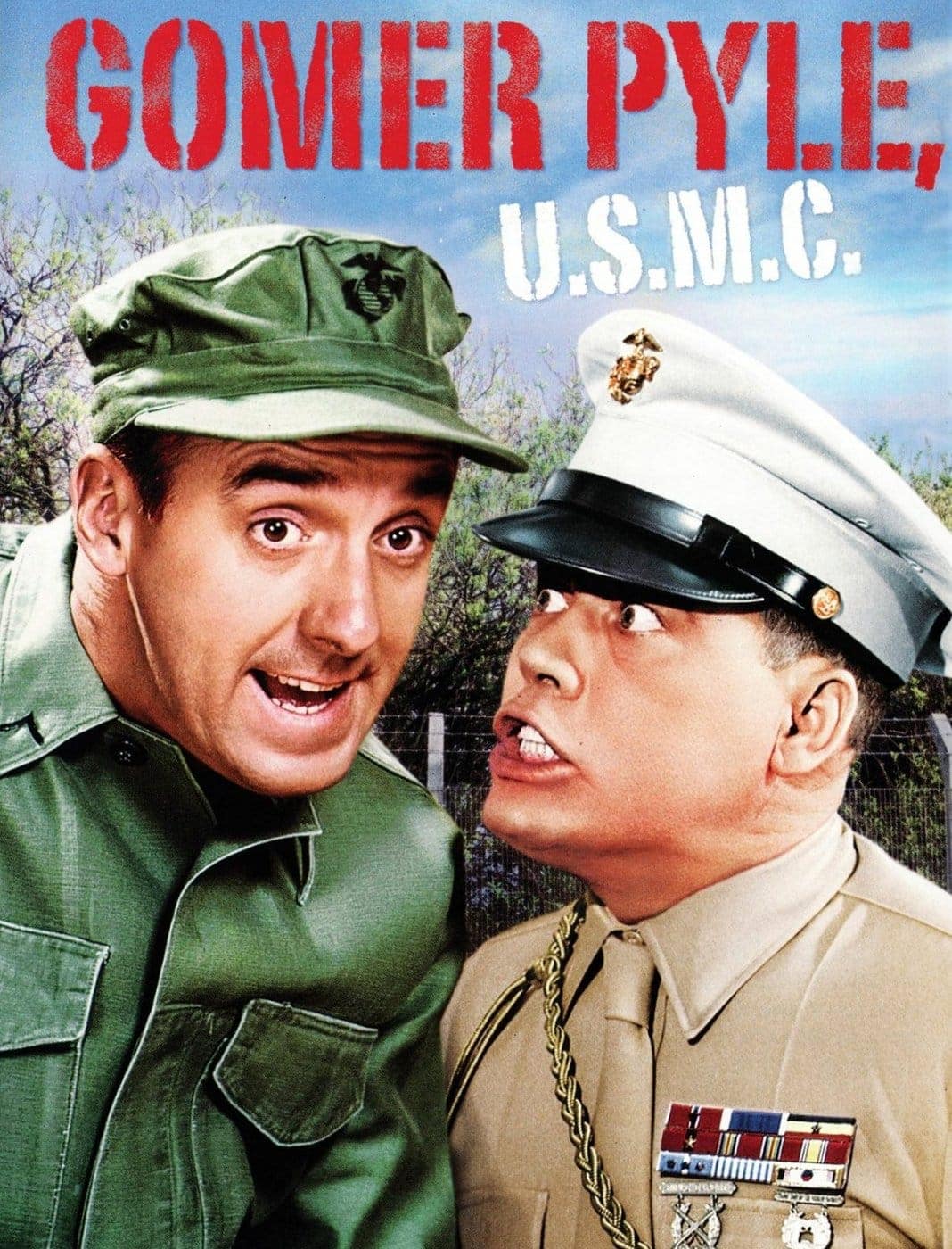 In Gomer Pyle: USMC, TV star Jim Nabors delighted millions as a dorky ...