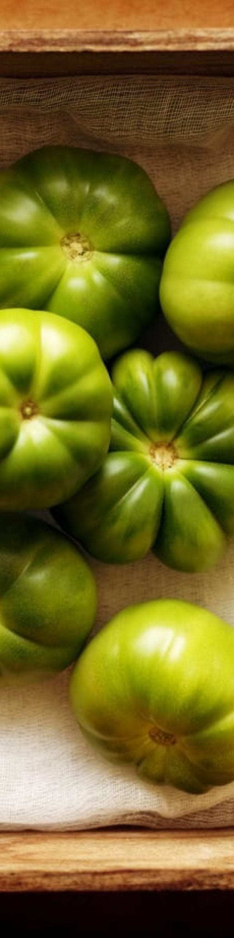 Fried green tomatoes & more: 11 recipes for green tomatoes (1912 ...