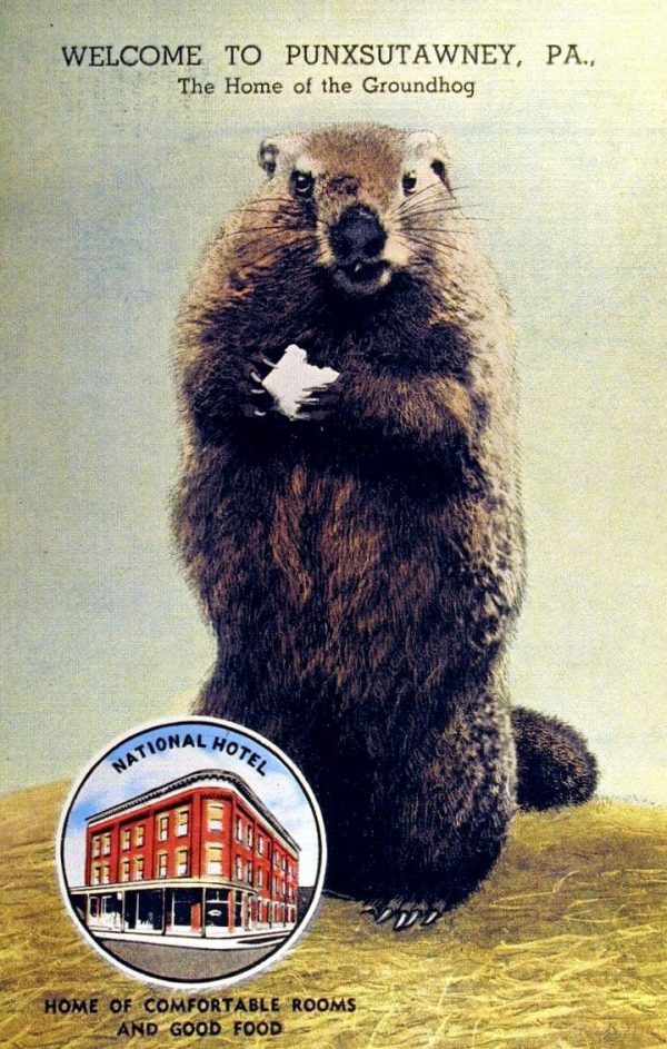 Groundhog Day explained: How a fun & quirky tradition took root in the ...