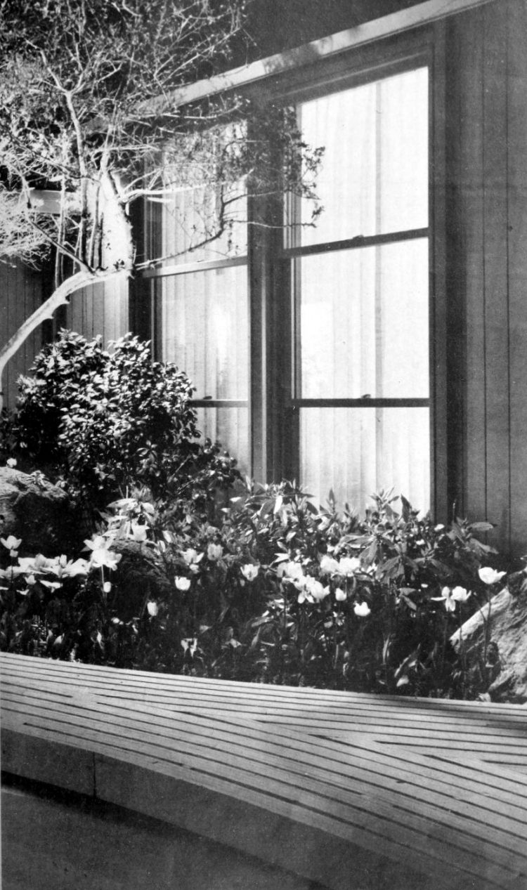 A mid-century modern model home: See H&G's Hallmark house for 1963 ...