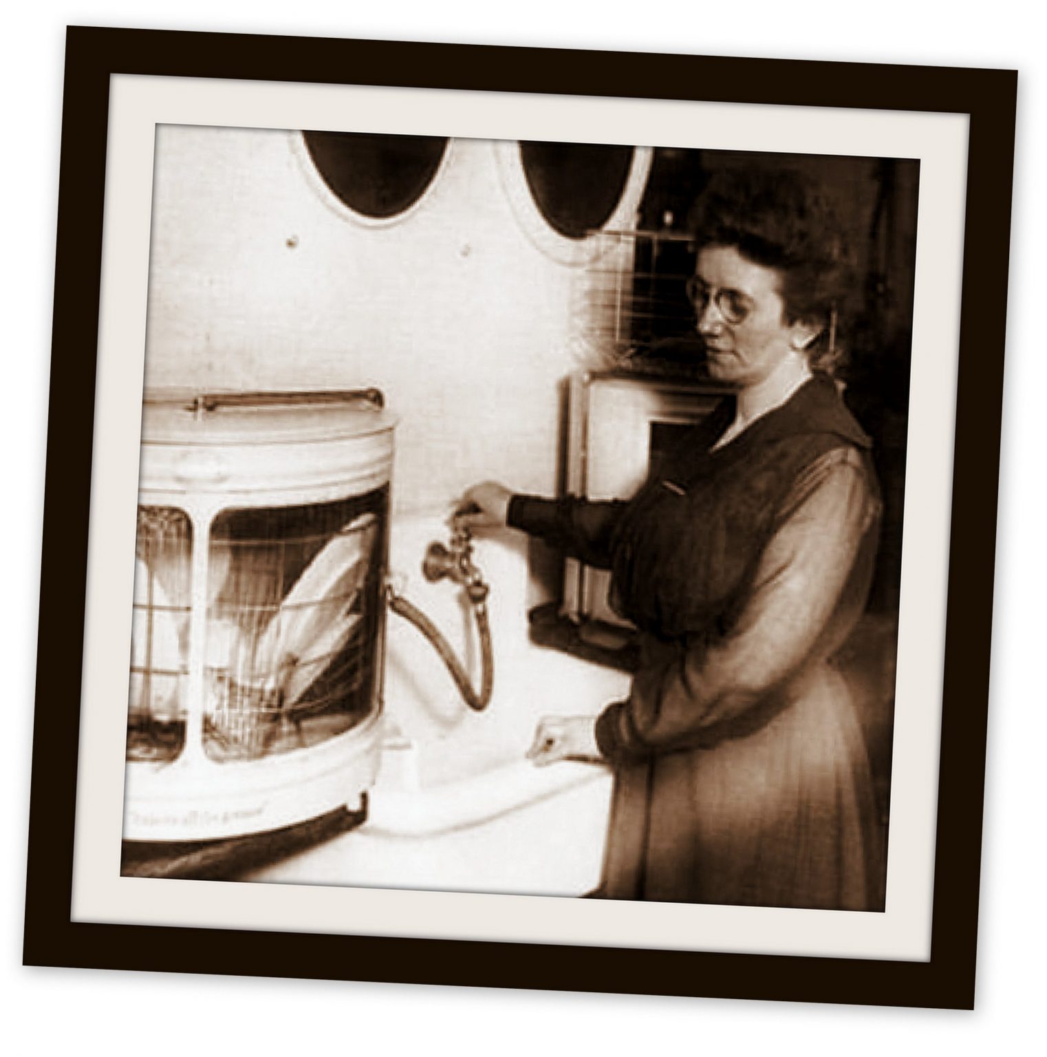 Dishwasher history: How one inspired woman invented the automatic ...