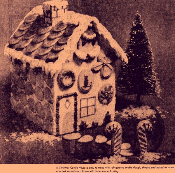 How to make a Christmas cookie house step-by-step (it's like a ...