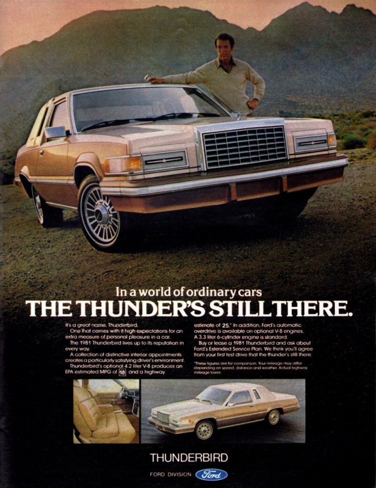 See vintage '80s Ford Thunderbird cars, including the The FILA ...