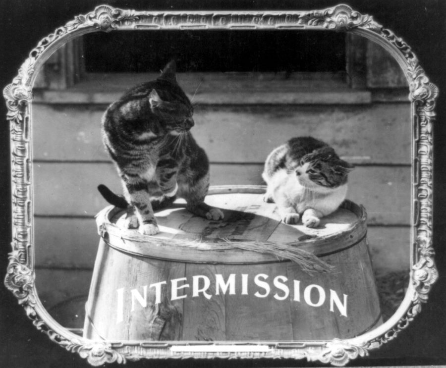 Old silent movie title cards: How to clap, don't wear hats & more ...
