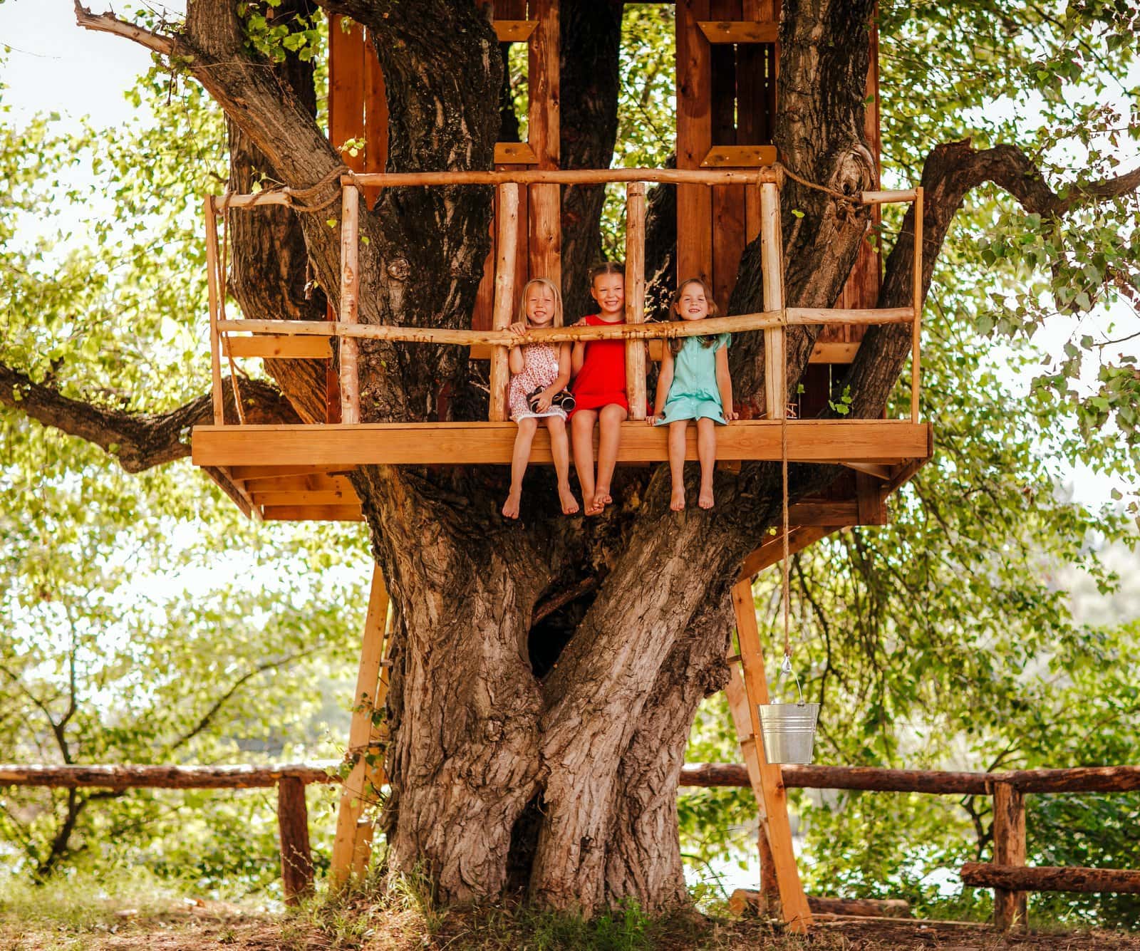 Old-fashioned treehouses: See 20 fun forts built up in the branches ...